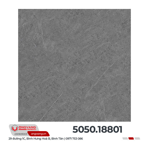 Gạch lát nền Prime 5050 18801